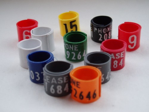 Racing Pigeon Telephone Number Leg Rings (custom made identity) 8mm ...