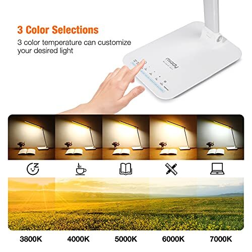 Miady LED Desk Lamp Eye-Caring Table Lamp 3 Color Modes with 4 Levels ...