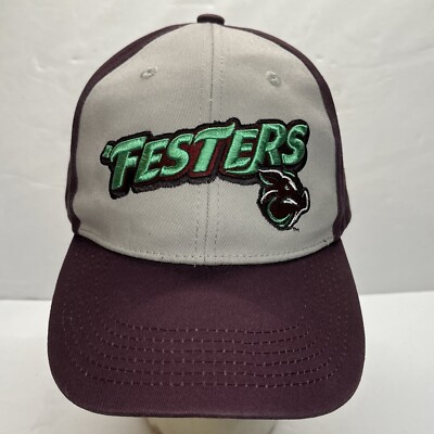Lehigh Valley Iron Pigs Festers Hat Cap Hook Loop Purple Musik Fest ...