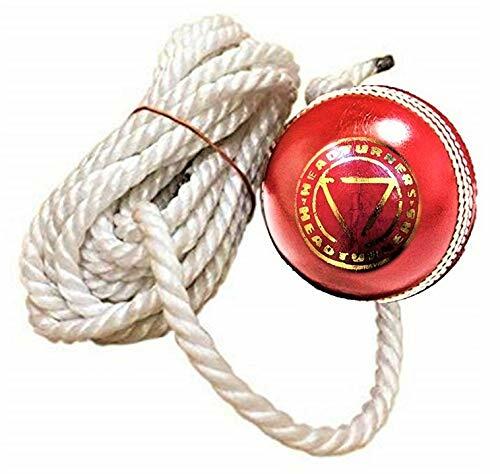 Leather Cricket Shot Practice Hanging String Cricket Ball with Rope us ...