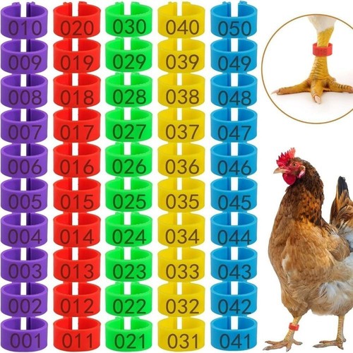 100pcs Plastic Poultry Leg Tags Bird Leg Sign Rings Poultry Accessories ...