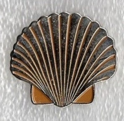 Scallop shell pin badge. Shellfish. Sea mollusc. Metal Enamel. Clam ...