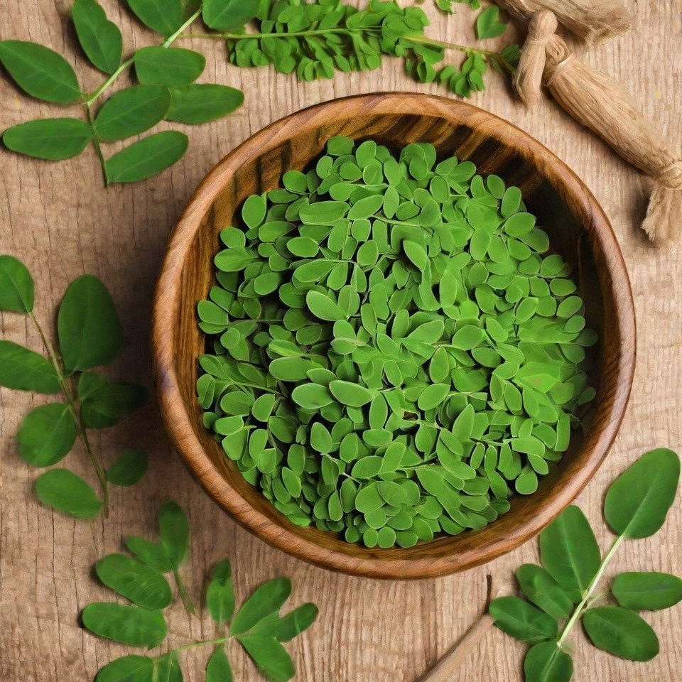 Moringa Extract Tincture (Moringa Oleifera) Liquid Moringa Herbal 2oz ...