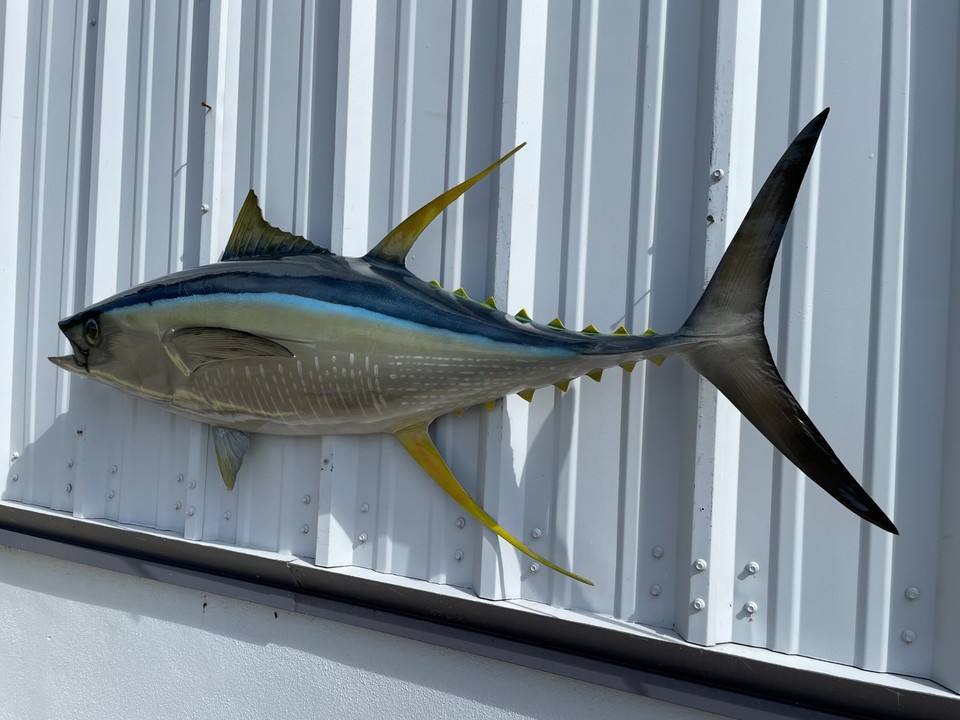 55" Yellowfin Tuna Half Mount Fish Replica - Quick Production | eBay