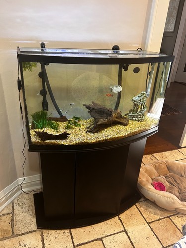 50-gallon bow-front aquarium, stand, and more $245 | eBay