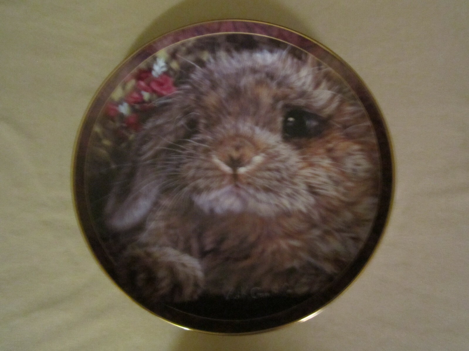 BUNNY RABBIT collector plate VIVI CRANDALL "Munchkin" BUNNY TALES #5 | eBay