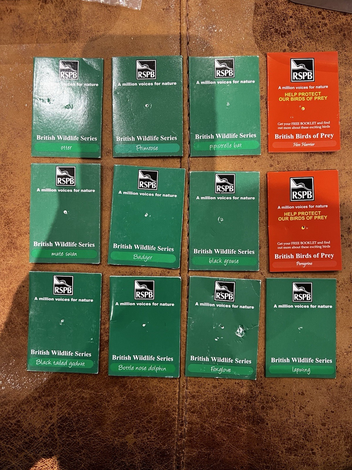 12x Mixed Pin Backing Cards (No Pins) - RSPB - Enamel Pin Badge | eBay UK