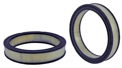 Air Filter-Std Trans Wix 42067 | eBay