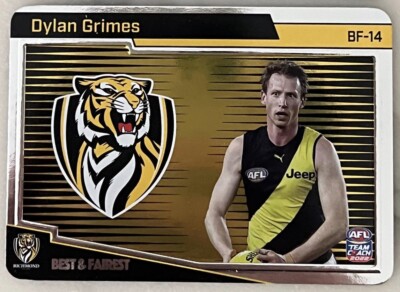 2022 Teamcoach Best & Fairest - Dylan Grimes BF-14 Richmond | eBay ...