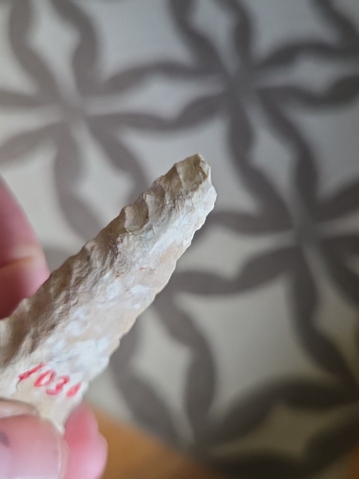 AUTHENTIC ARROWHEADS DOVETAIL ARCHAIC INDIAN ARTIFACTS STONE TOOLS NICE ...