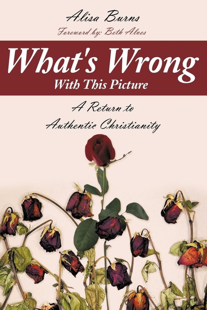 What's Wrong With This Picture von Alisa Burns (2010, Taschenbuch ...