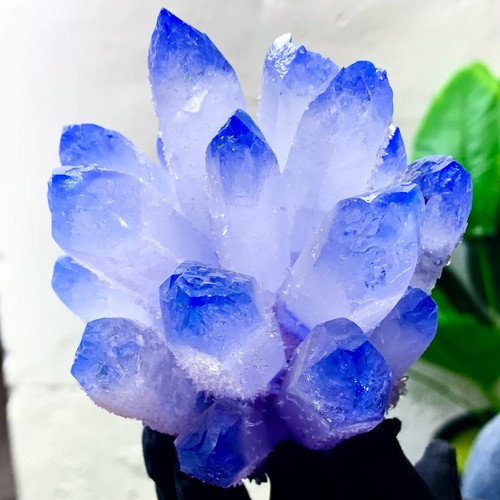 1.21LB New Find sky BLUE Phantom Quartz Crystal Cluster Mineral ...