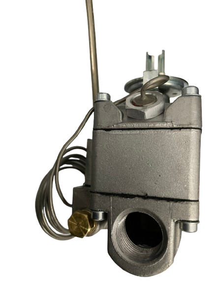 PIZZA OVEN THERMOSTAT | eBay