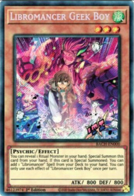 Libromancer Geek Boy BACH-EN000 | eBay