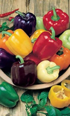 Capsicum 'HEIRLOOM RAINBOW MIX' 20+ Seeds spring MIXED FRUIT vegetable ...