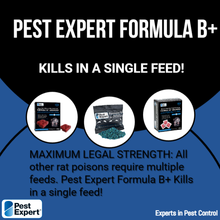 Pest Expert® Rat Killer Poison Bait Blocks x 75 Strong Rodent Poison (1 ...