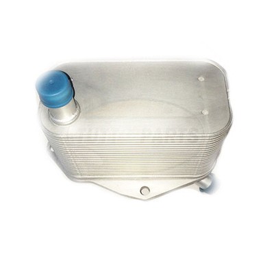 Radiator Oil Volvo S60 S80 V70 III XC90 XC70 30757620 31339939 | eBay