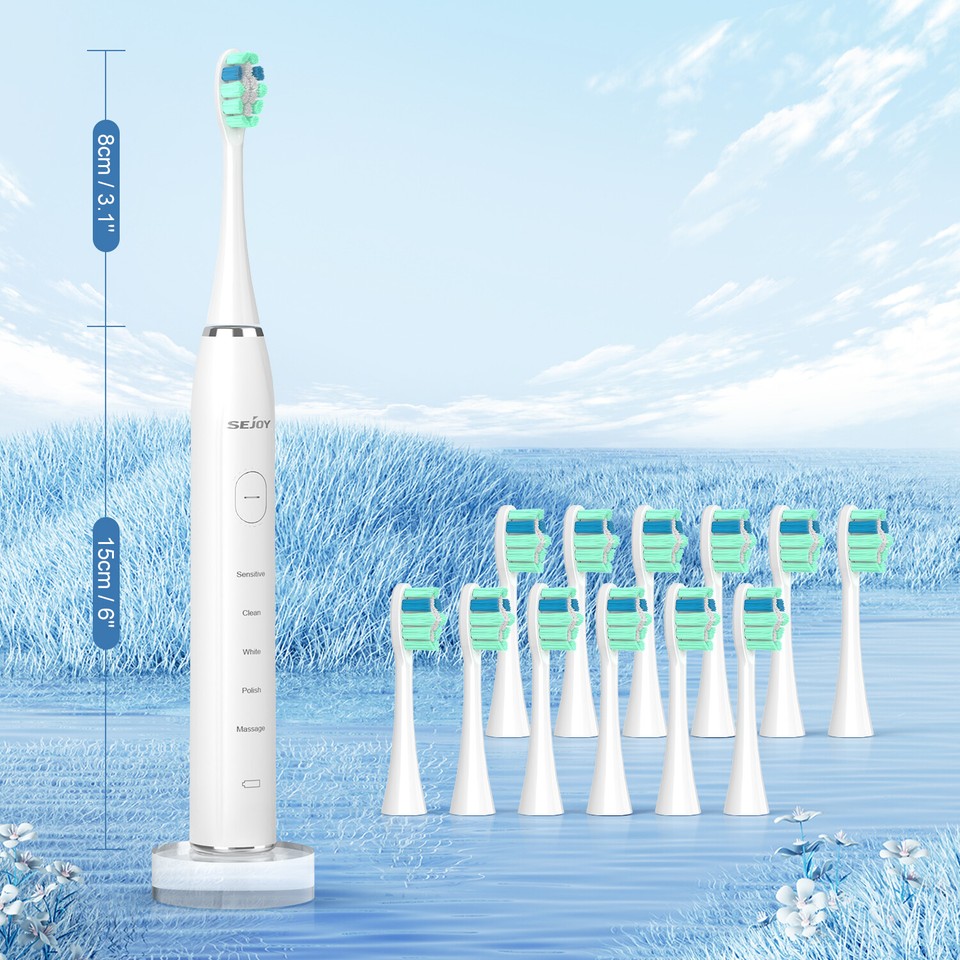 Sonic Electric Toothbrush USB Rechargeable Power Toothbrush with 12 ...