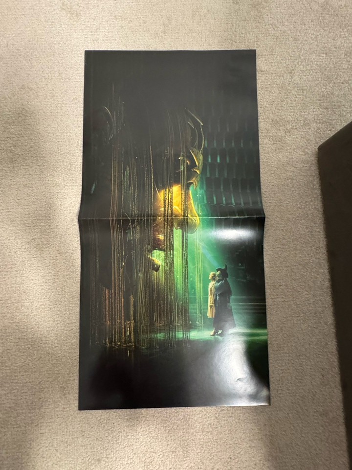 Wicked The Soundtrack Record Store Day Vinyl RSD Ariana Grande | eBay UK