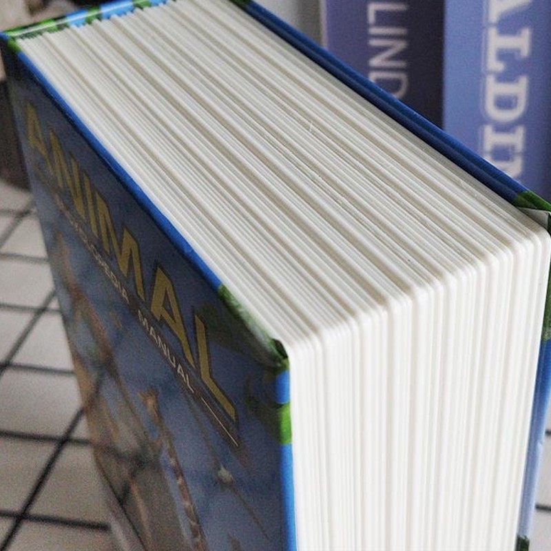 Diversion Book Safe with Combination Lock Hidden Storage Safe Lock Box ...