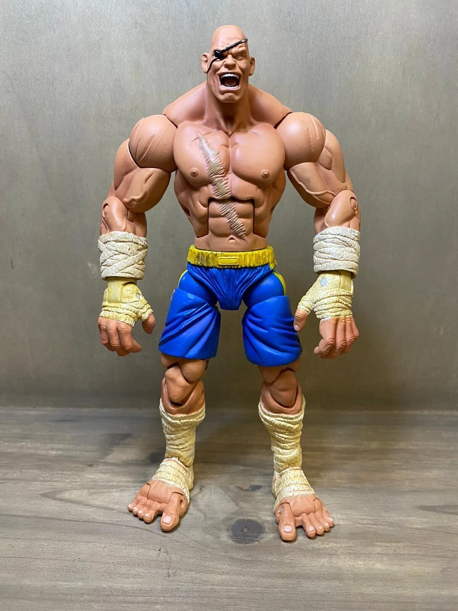 SOTA TOYS（ソタ）STREET FIGHTER ストリートファイター SAGAT サガット アクションフィギュア 未開封品 - 7，225円 | noguchi.ug.edu.gh