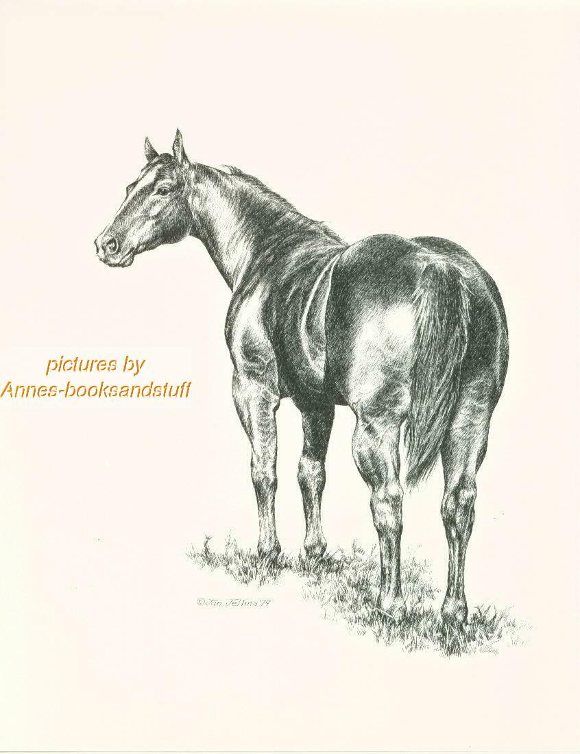 Quarter Horse Drawing By Poster Quarter Horse Western Horse