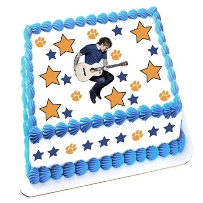 Ed Sheeran Cake Toppers Edible Party Decorations For 7.5" Cake | eBay UK