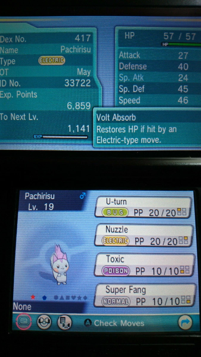 Shiny Pachirisu Pokemon X