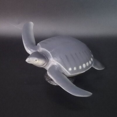 Archelon Prehistoric Life Soft Model Figure Favorite | eBay
