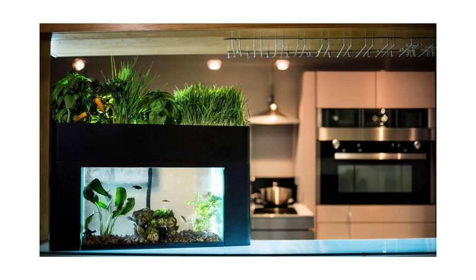 Aquaponics Garden, Self-Sustaining Desktop Aquarium Hydroponics ...