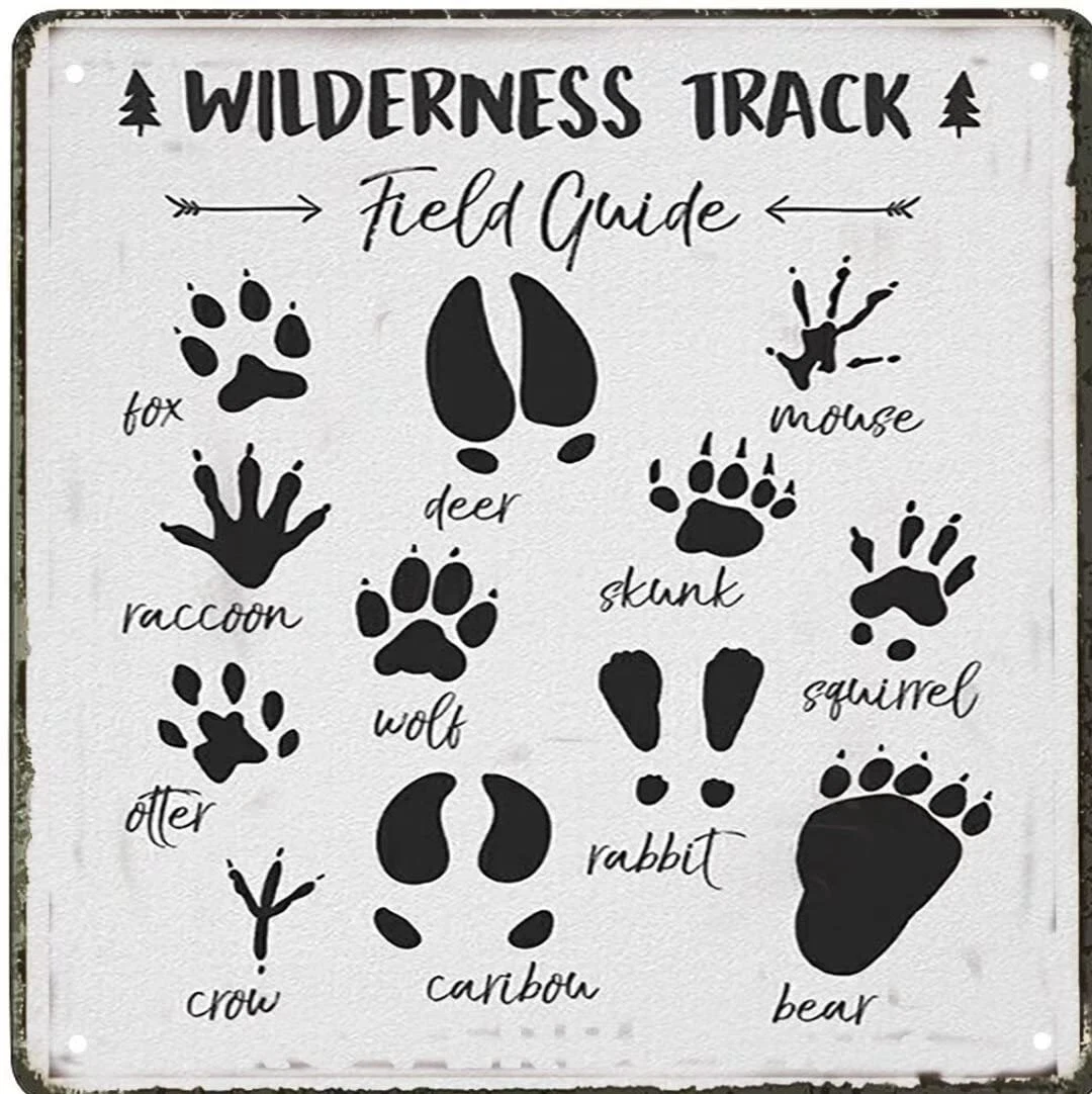 Field Mouse Tracks