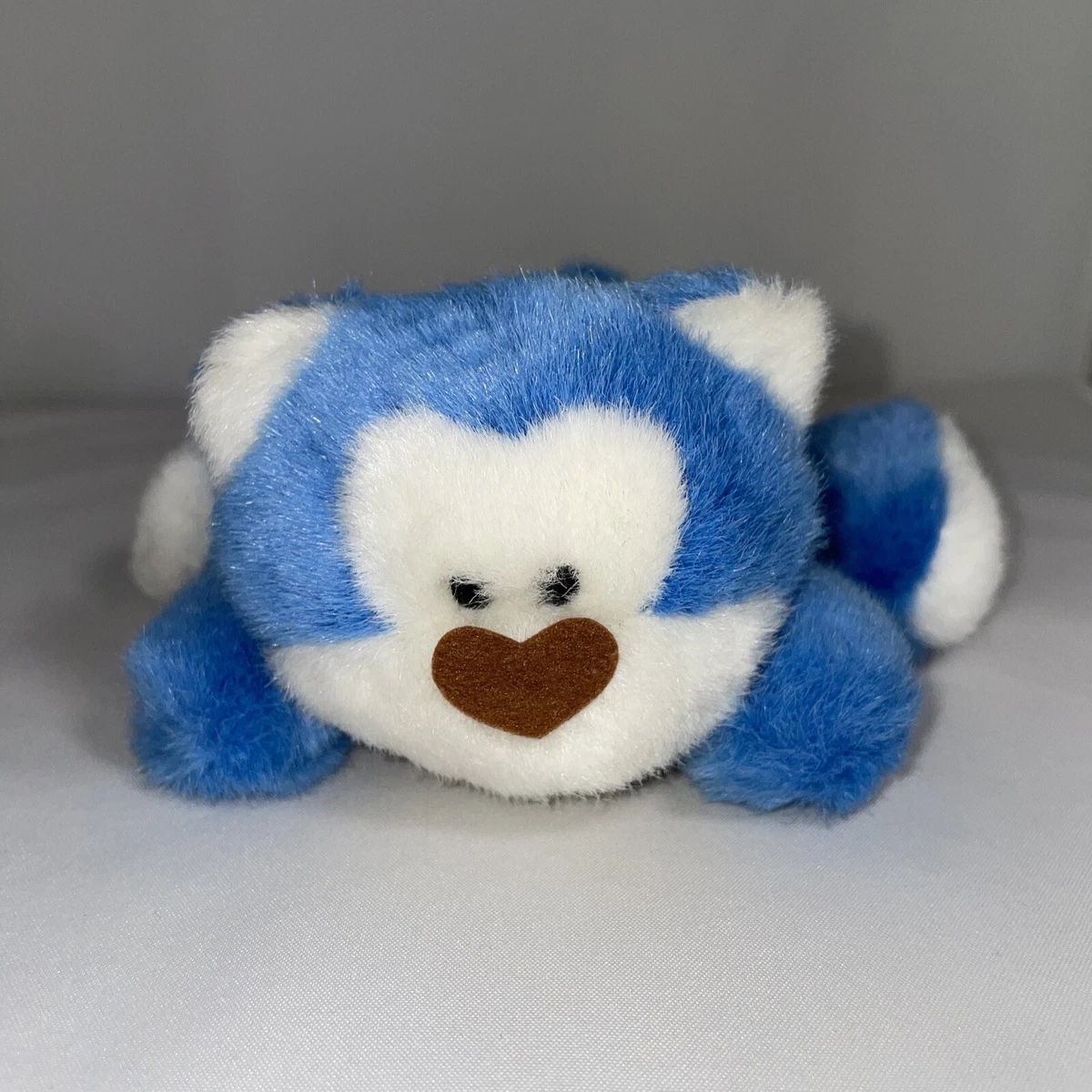 Blue Bear Morning Glory