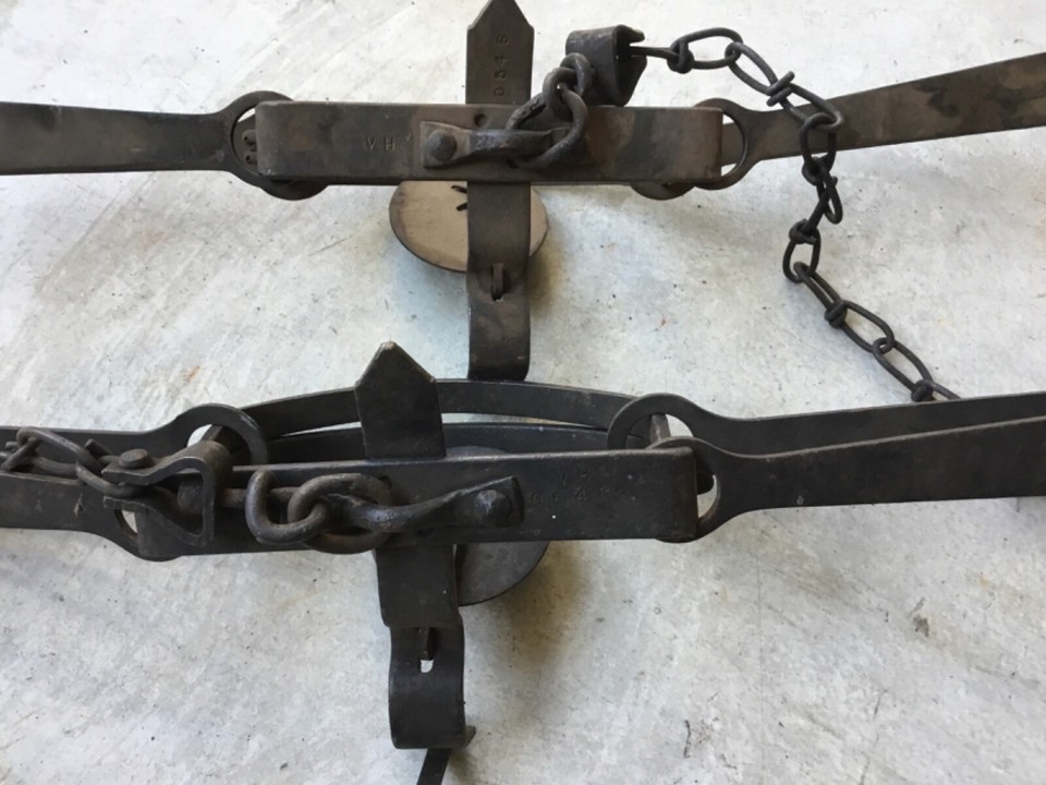 victor #4 long spring traps | eBay