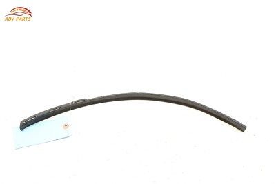 2022 - 2024 LUCID AIR REAR LEFT DRIVER SIDE SEAL TRIM COVER PANEL OEM ...