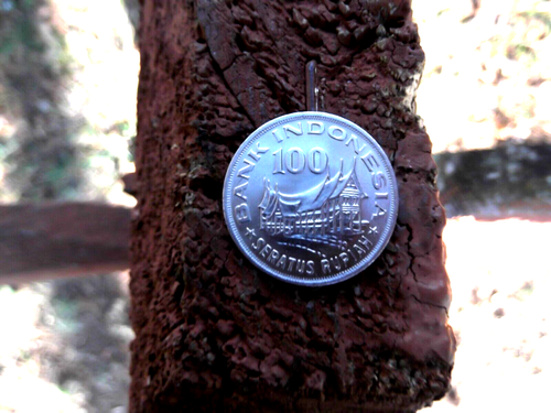 1978 Indonesia 100 Rupiah Coin Old Indonesian Coins Rupees Rare Money ...
