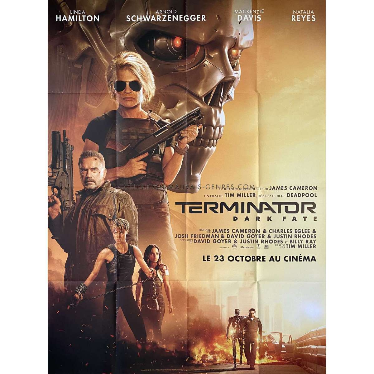TERMINATOR DARK FATE Affiche de cinéma - 120x160 cm. - 2019 - Arnold ...