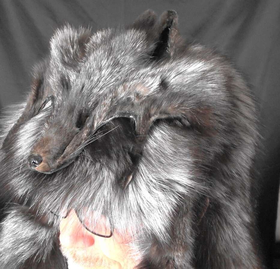Silver fox fur mountain man hat | eBay