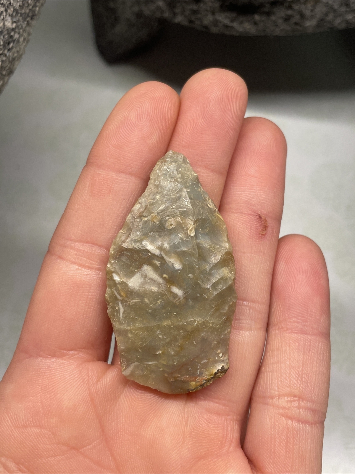 MLC s2233 Fluted Paleo Archaic Stemmed Lanceolate Arrowhead North ...