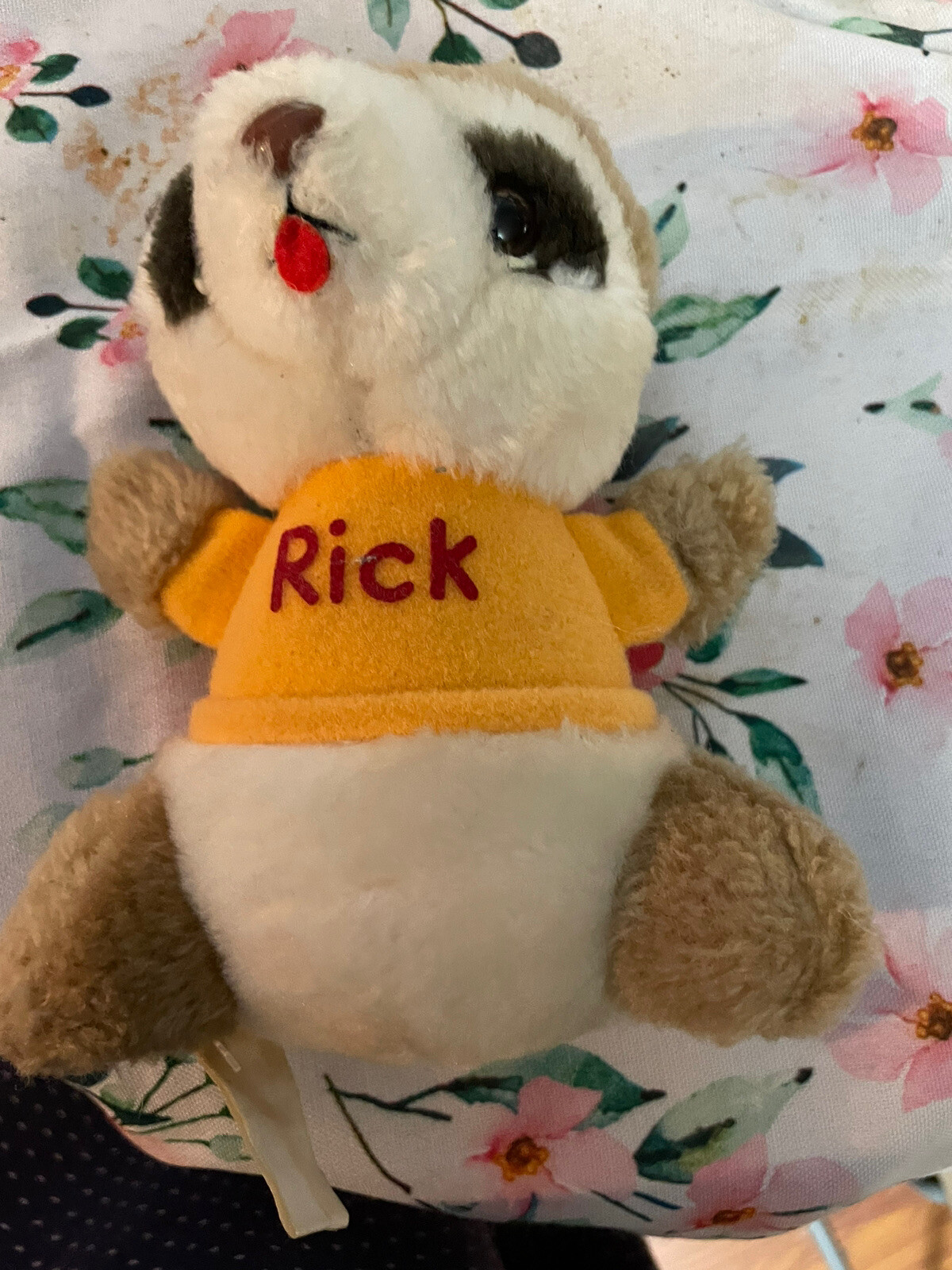 Vintage Hardee’s Plush Rick Raccoon Bogey Monkey And Tyg Tiger From ...