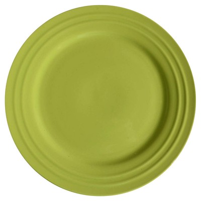 Rachael Ray Double Ridge Green Apple Dinner Plate 9462292 | eBay
