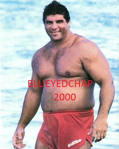 DON MURACO WRESTLER 8 X 10 WRESTLING PHOTO WWF NWA | eBay