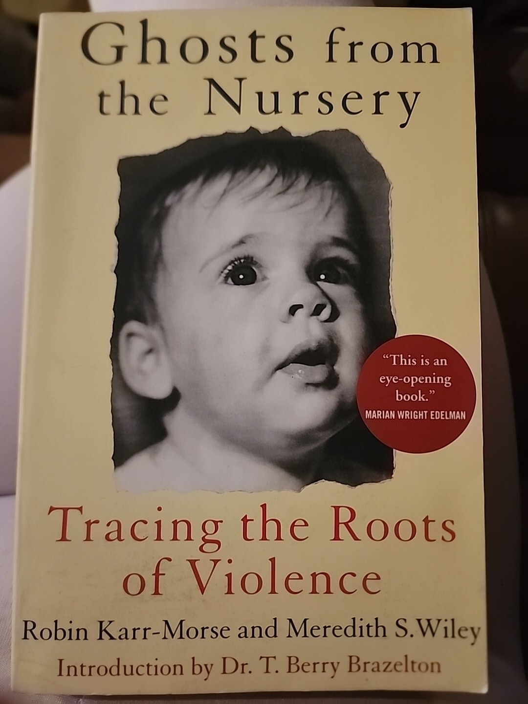 Ghosts from the Nursery Tracing the Roots of Violence 9780871137340| eBay