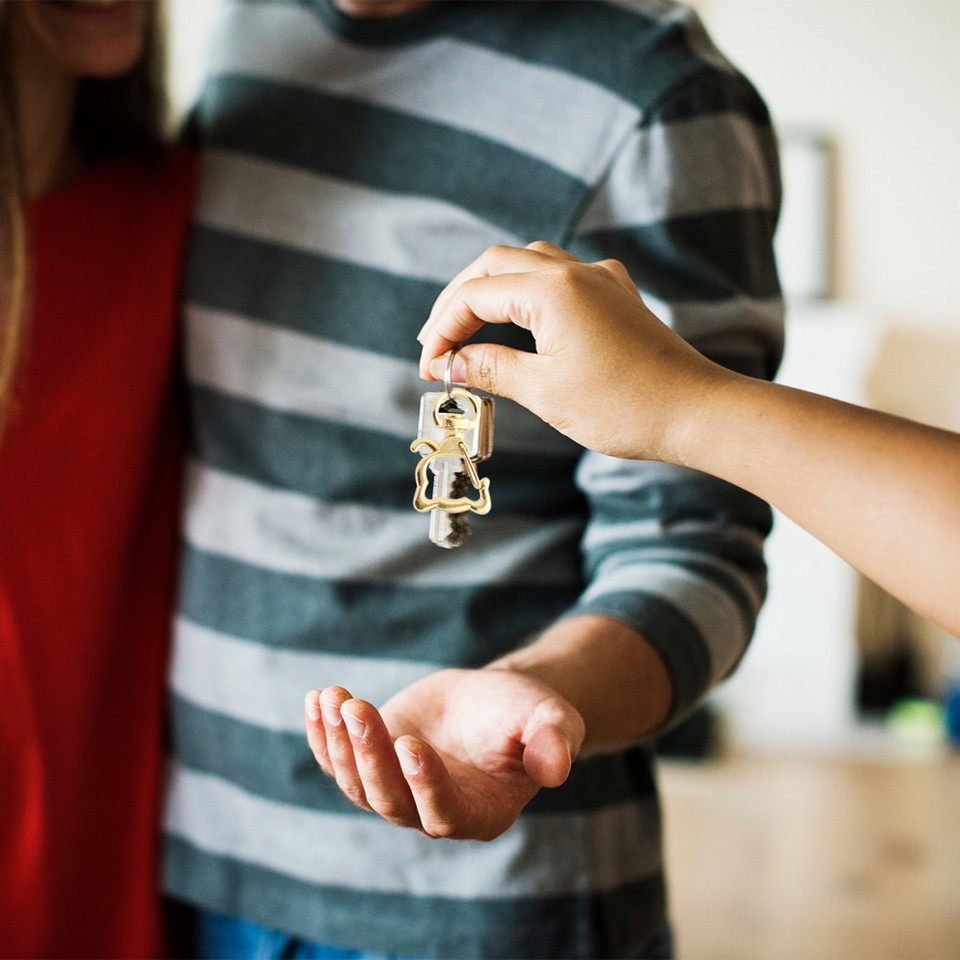 2 Pieces Cat Accessory Keychain Accessories Metal Snap Hook Clip | eBay UK