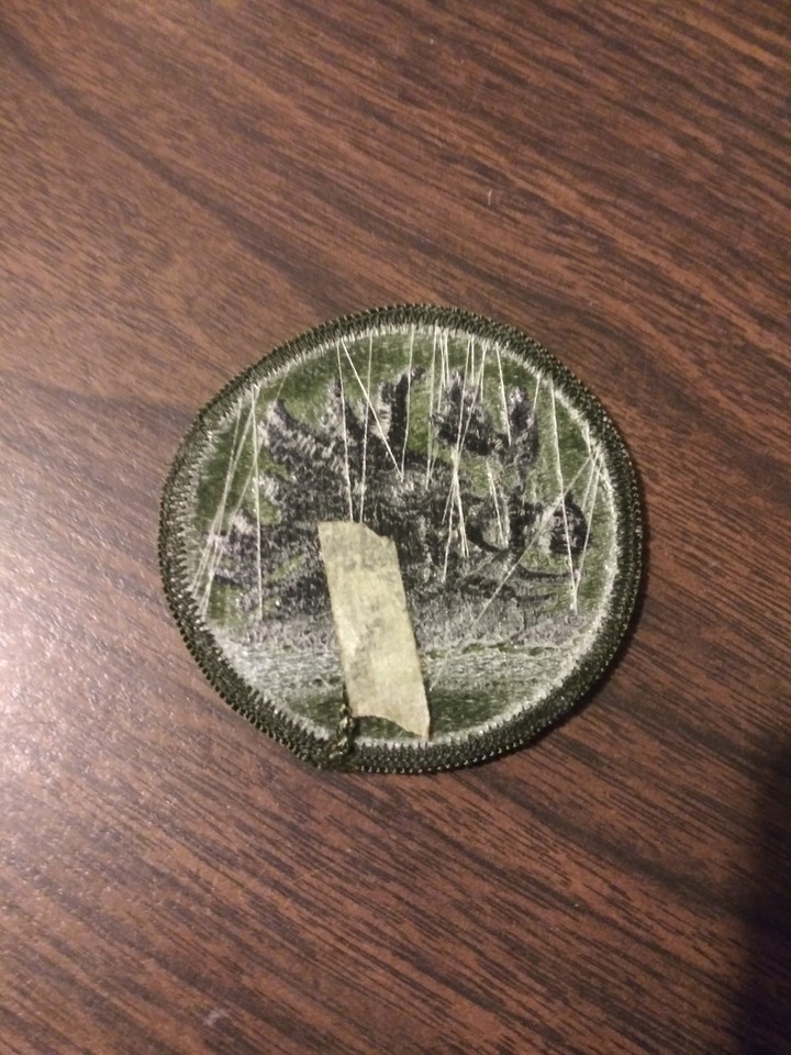 US Army Georgia Army National Guard SD Patch | eBay