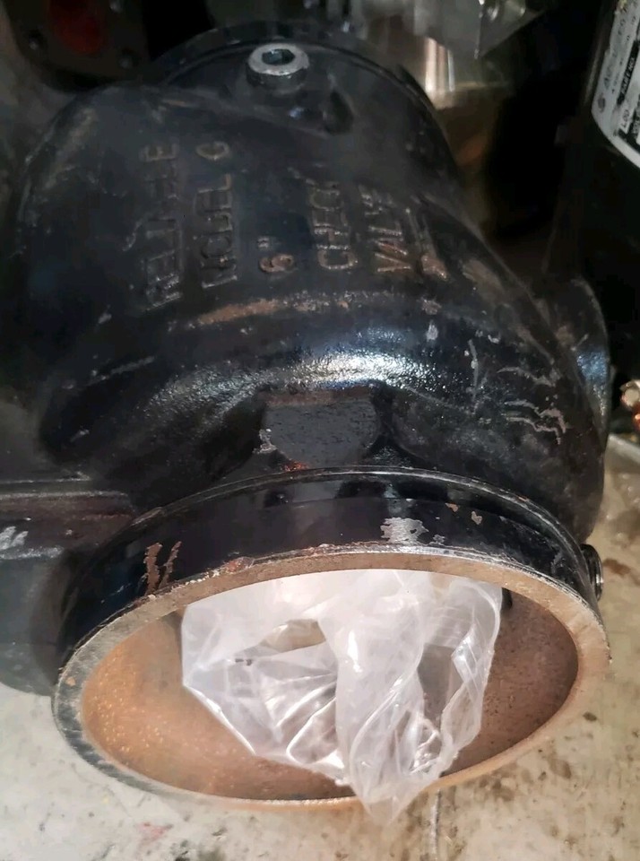 RELIABLE MODEL G SWING CHECK VALVE GROOVED 6" | eBay