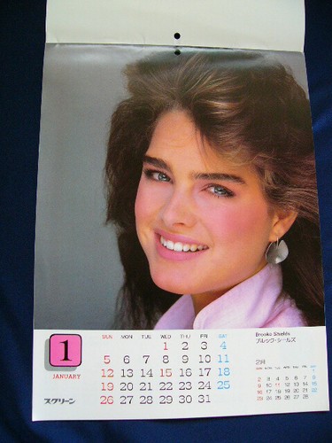 Diane Lane Matt Dillon Thomas Howell Brooke Shields Phoebe Cates Rob ...