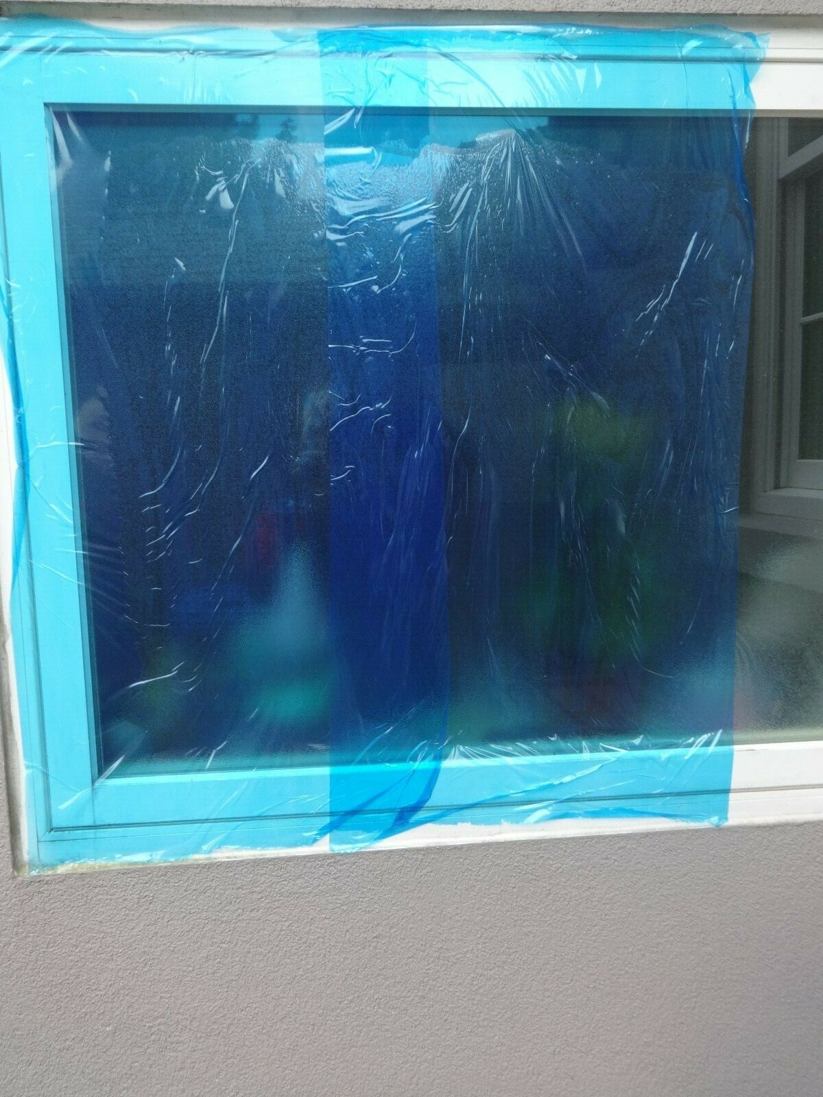 Blue Window and Glass Protection Film 600MM x 100m | eBay UK
