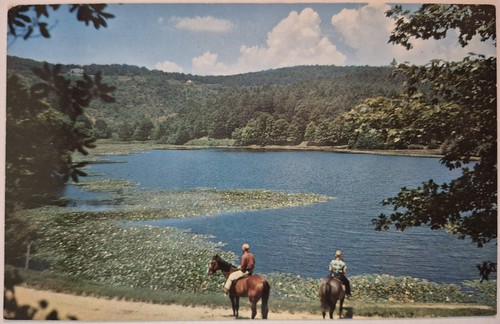 Vintage Postcard Bass Lake Moses H Cone Park Blowing Rock North ...