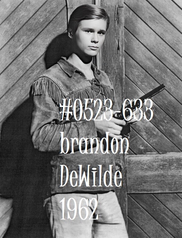 Brandon Dewilde Brandon De Wilde THE MISSOURI TRAVELER Vintage Orig
