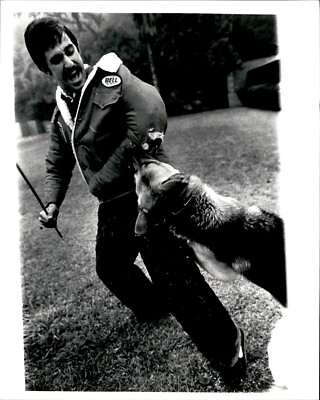 LD302 Original Garry Watson Photo GERMAN SHEPHERD POLICE DOG TRAINING ...